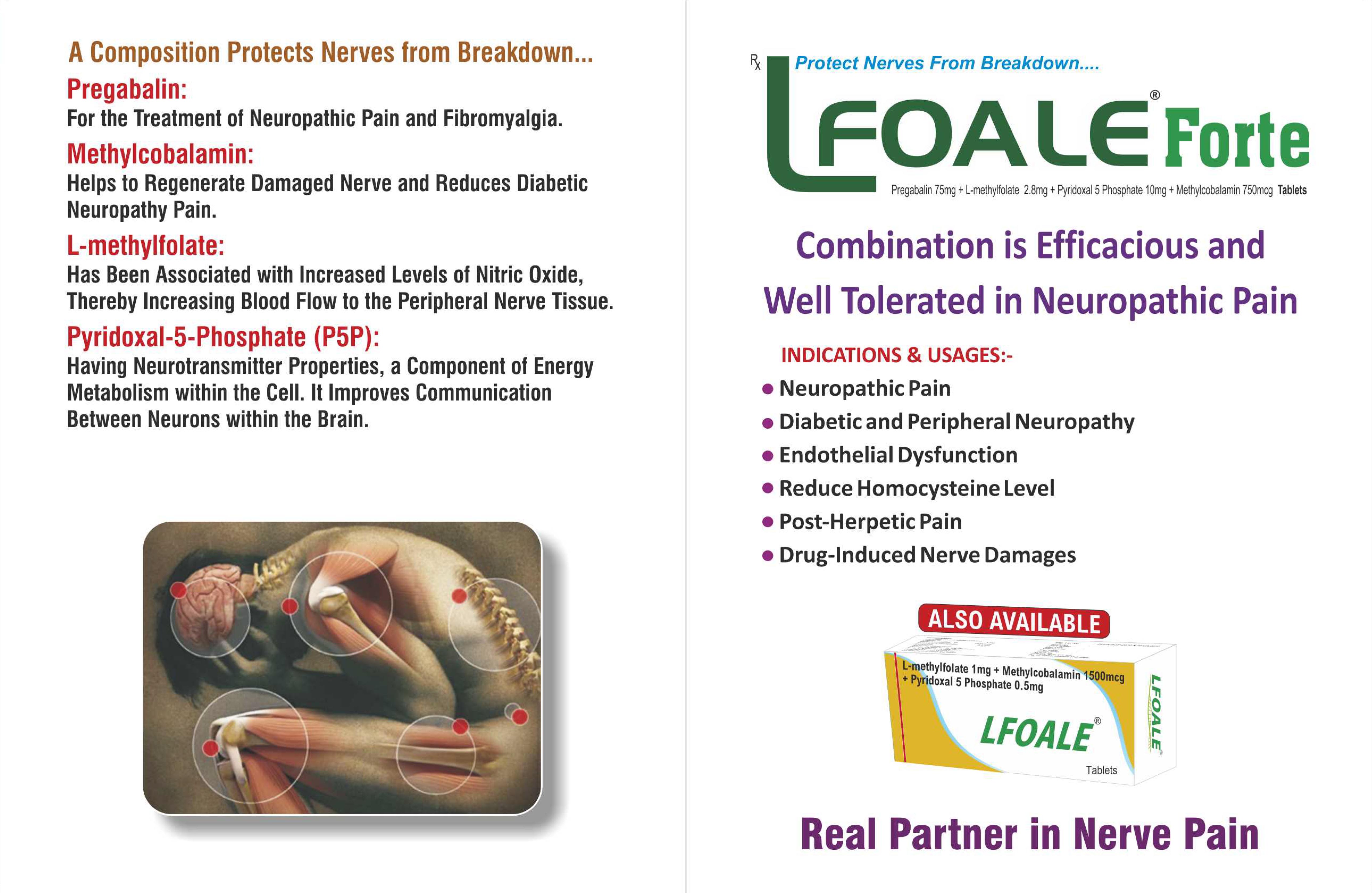 Plasoron Biotech Pvt. Ltd.